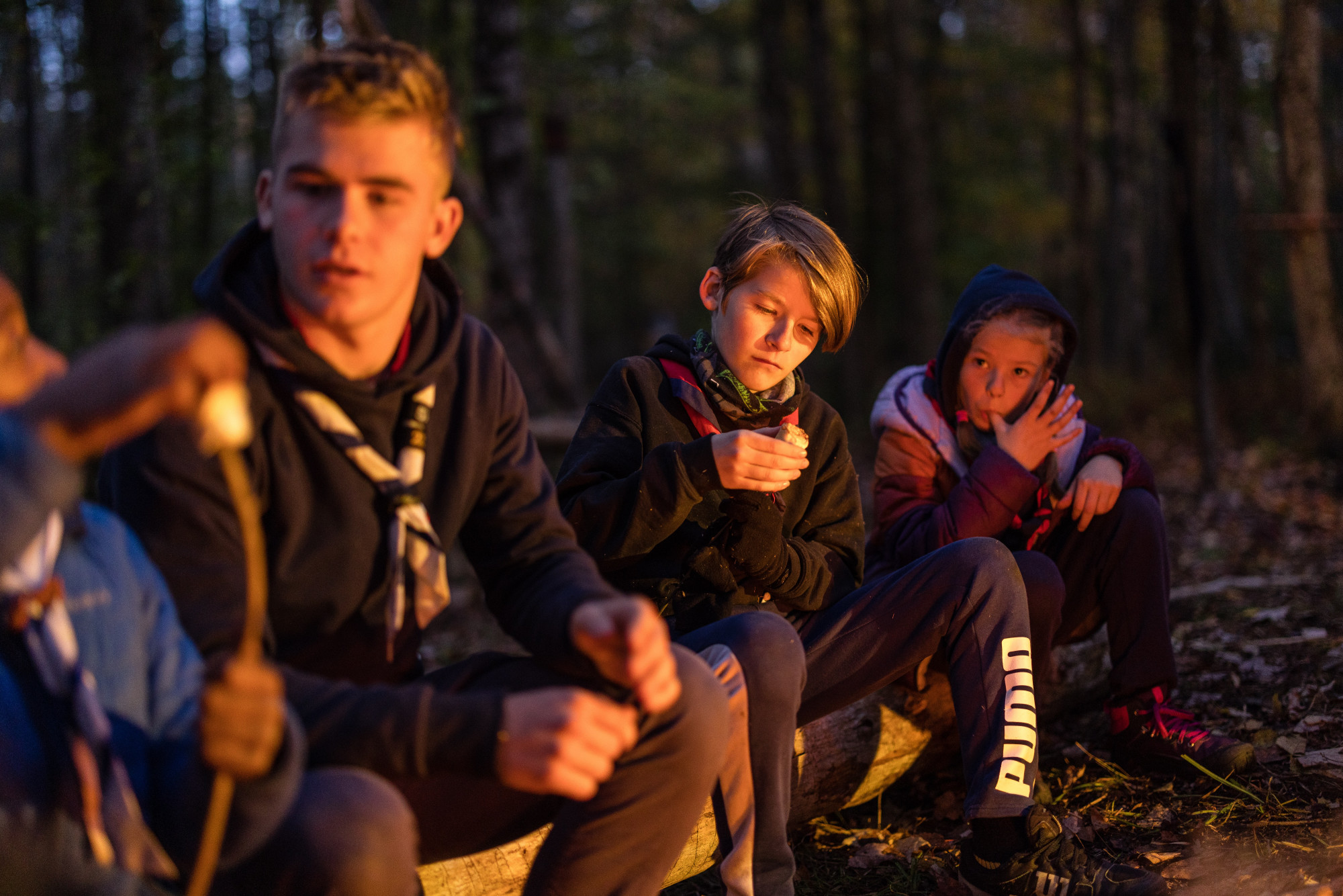 Coolecto - Activité de financement